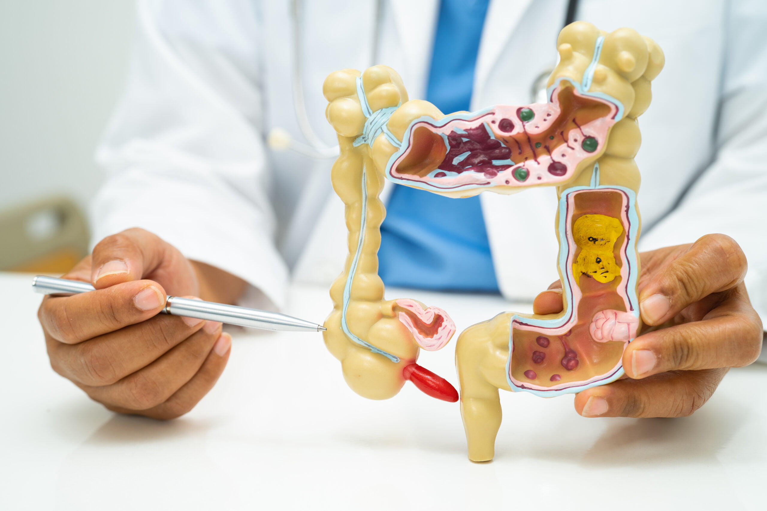 The Appendix - Health Pulse